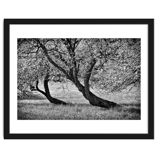 Bend over Art Print by Leo Brix | Arthaus