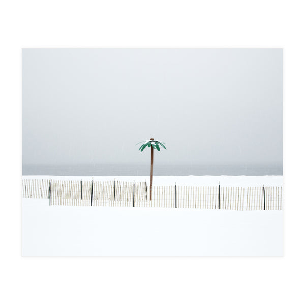 Fake palm tree in the winter snow beach (Print Only) Art Print by yoko ...
