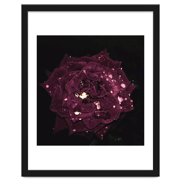 Shining Red Rose Art Print by Rizwana Khan | Arthaus