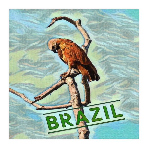 Brazilian resting Eagle (Print Only) Art Print by ConteMonfrey | Arthaus