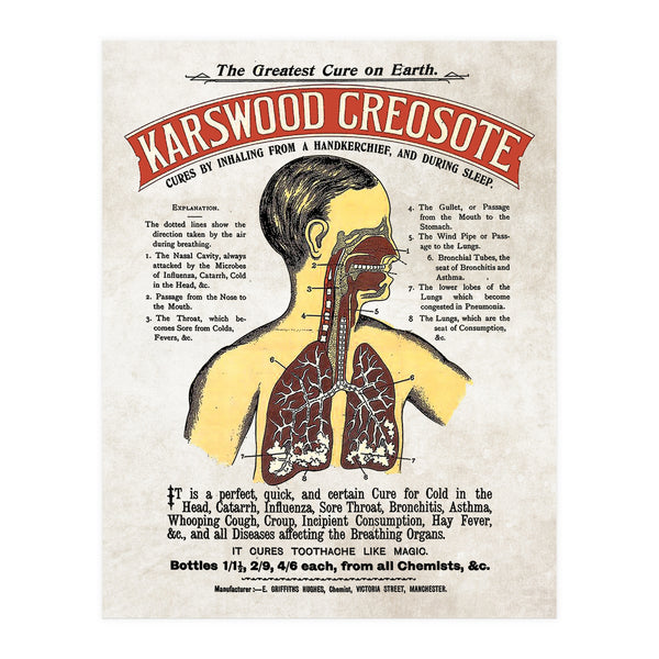 anatomy digestive system poster (Print Only) Art Print by THE NEW BLACK ...