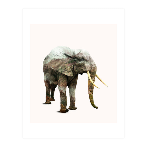 Elephant Transformation (Print Only) Art Print by 83 Oranges | Arthaus