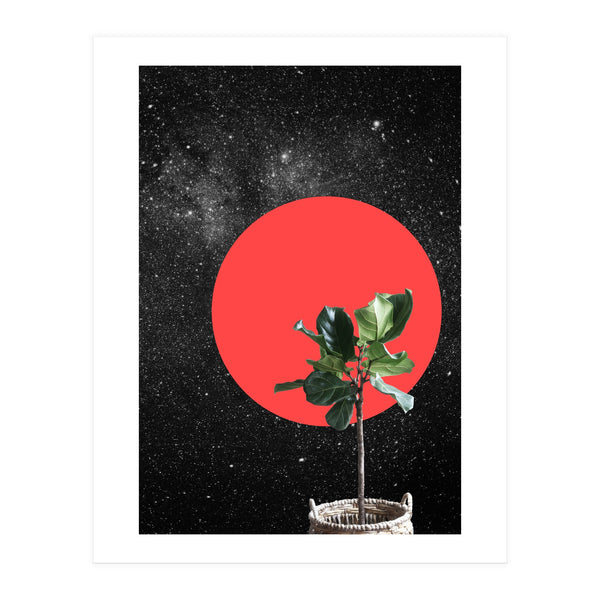 "Bonsai" - Digital Collage (Print Only) Art Print by Hessl | Arthaus