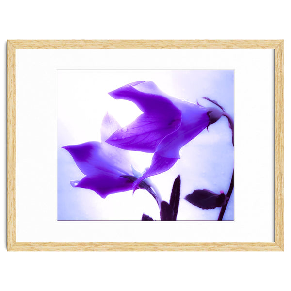Innocent flowers Art Print by NaomYb’ | Arthaus