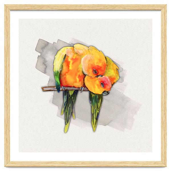 Two cuddling sun conures Art Print by Bwiselizzy | Arthaus