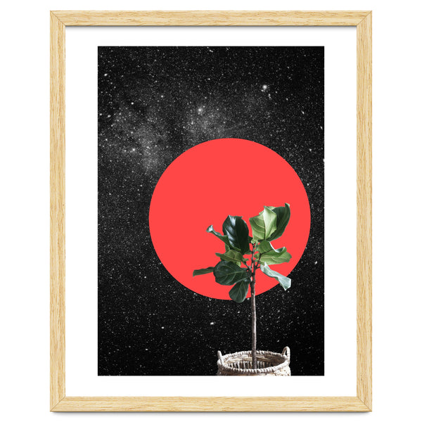 "Bonsai" - Digital Collage Art Print by Hessl | arthaus